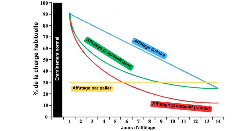 L'affûtage en trail : quand arrêter de courir ? comment le gérer